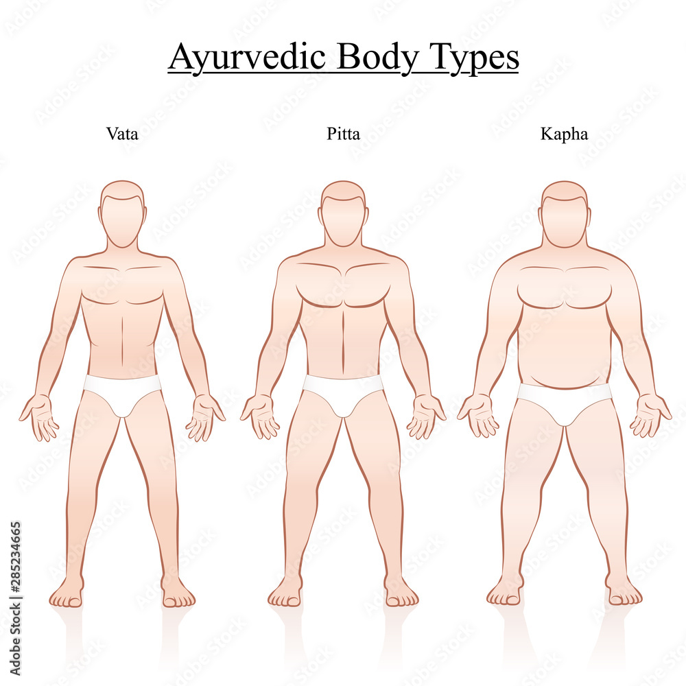 Male body constitution types - ayurvedic typology - vata, pitta, kapha ...