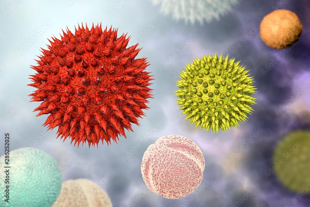 Pollen grains from different plants, 3D illustration. They are factors ...
