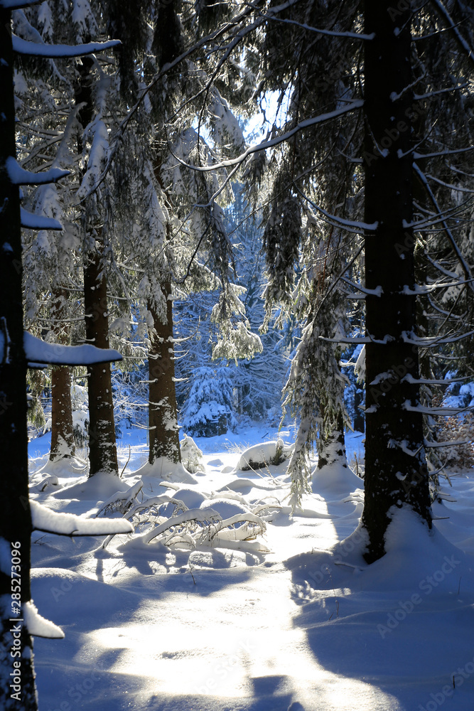 Thueringer Wald - Rennsteig, Thuringian Forest Nature Park, Germany ...
