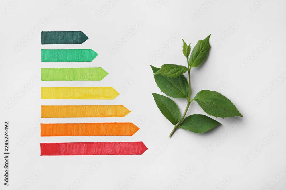 Energy efficiency rating chart and green leaves on white background ...