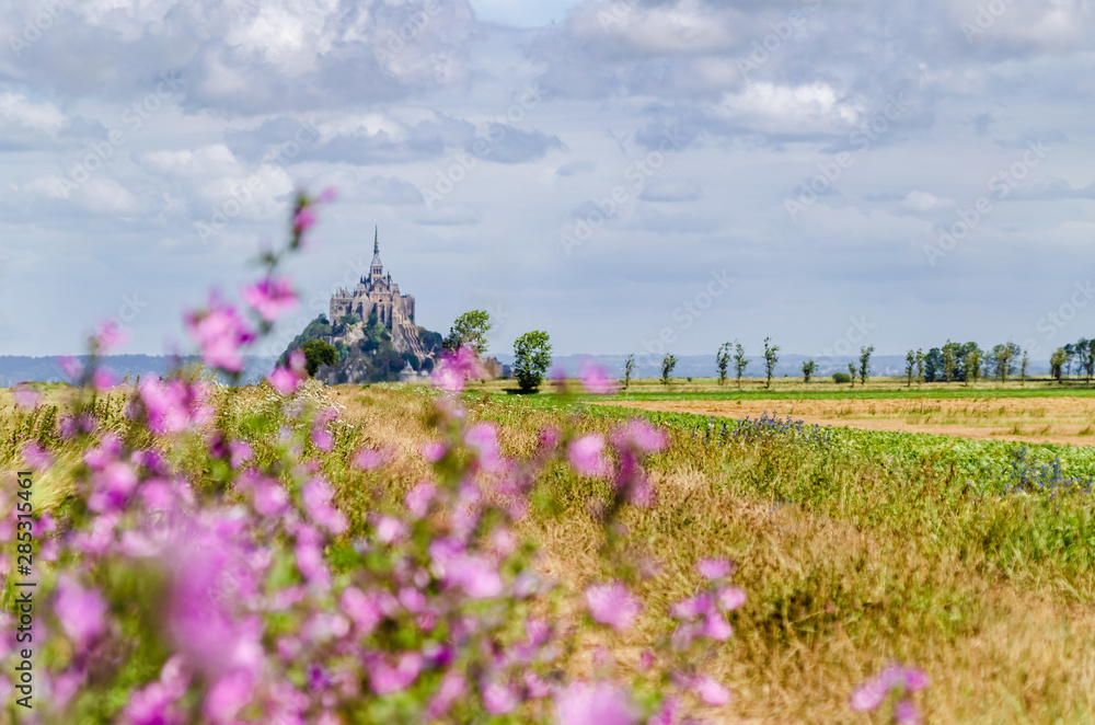 Normandy Flowers | Best Flower Site