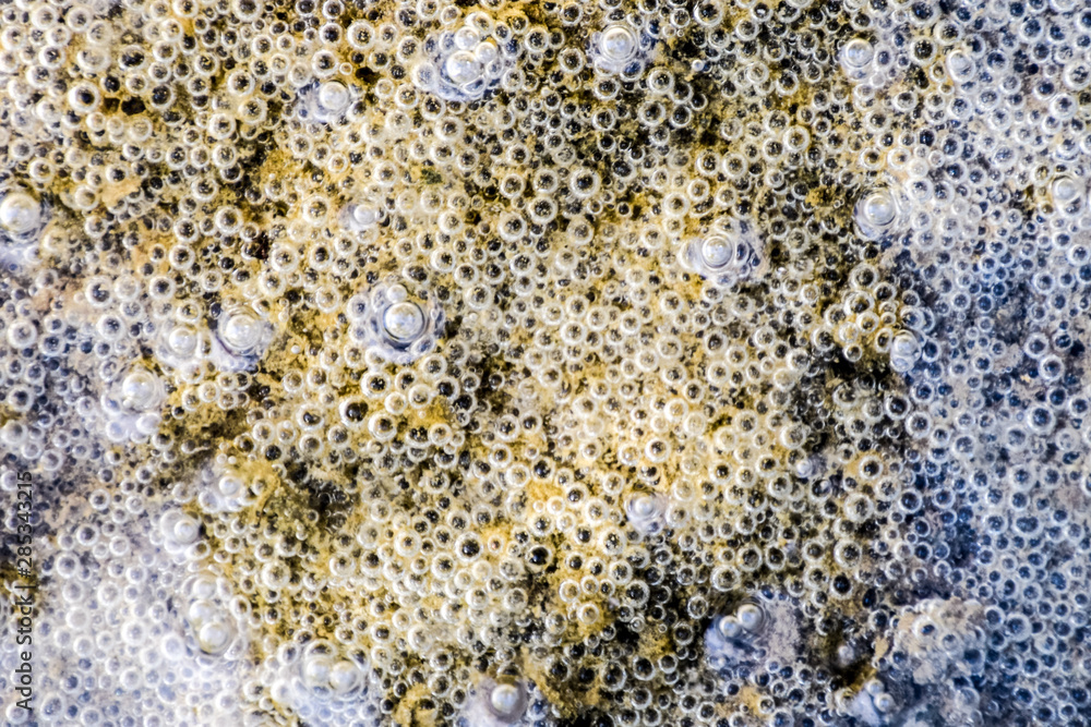 Bubbles of air in mud and silt under water. Background of bubbles ...