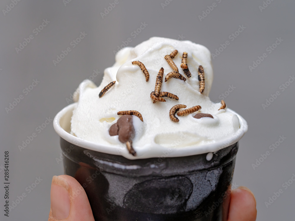 Ice cream with edible insect topping. Small larvae mealworms and ...