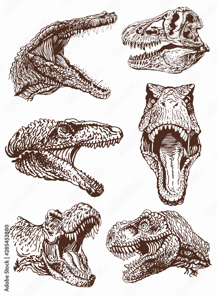 Vintage set of dinosaur portraits, graphical vector illustration ...
