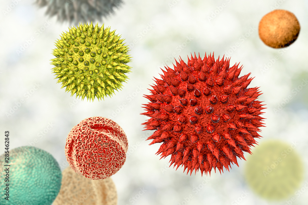 Pollen grains from different plants, 3D illustration. They are factors ...