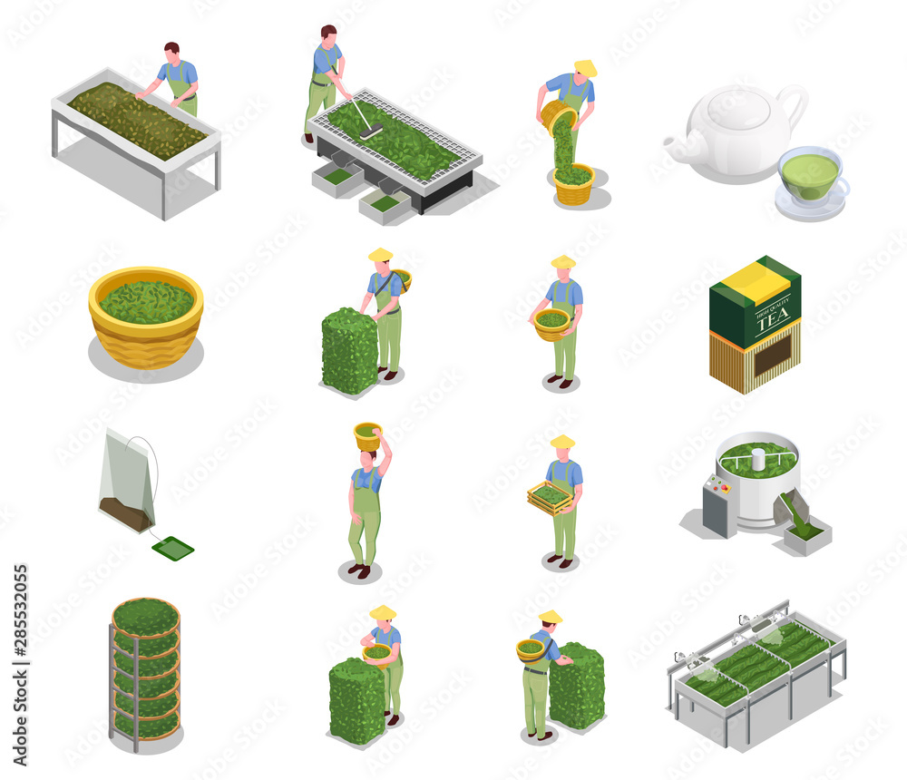 Tea Production Steps Isometric Icons Stock Vector | Adobe Stock