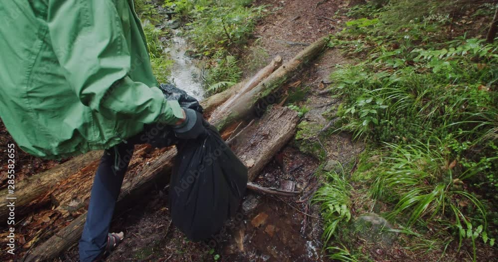 Eco volunteers cleaning the pine forest environment from pollution ...