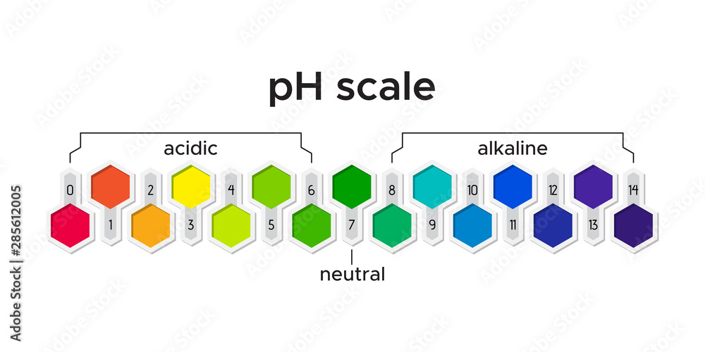 color coded pH level in water for acid and alkaline Stock Vector ...