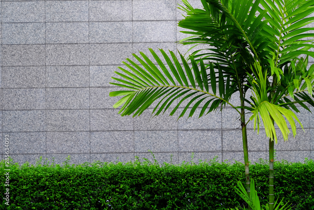 Palm Tree Tile Background