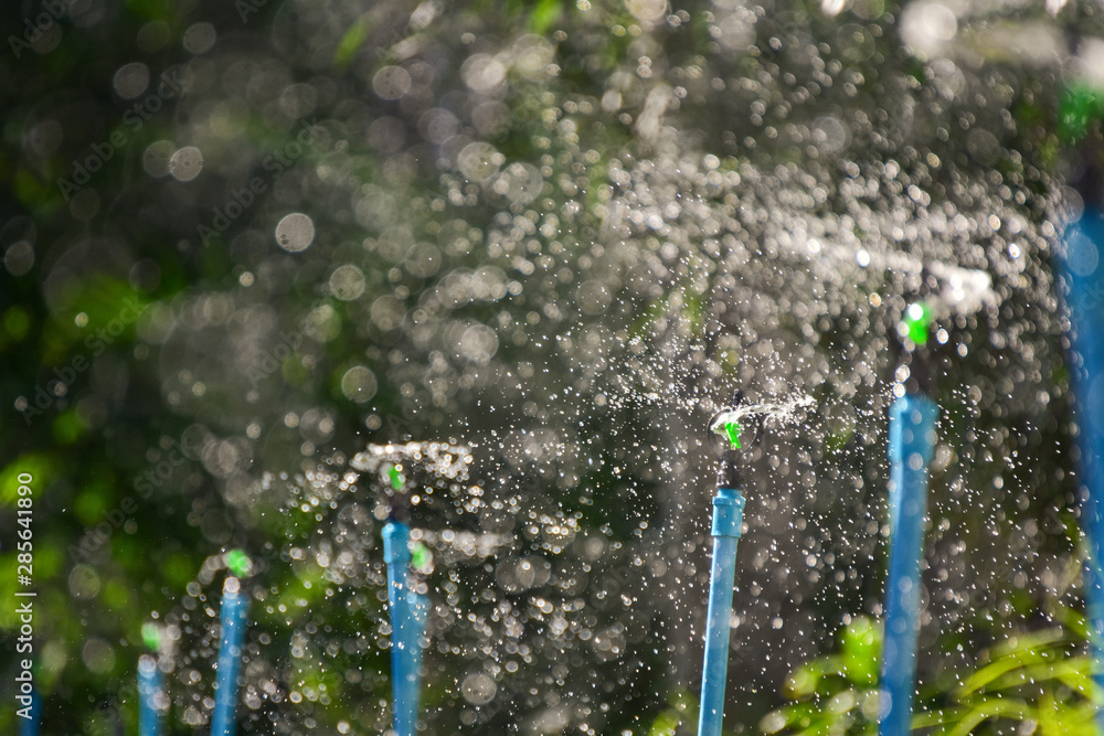 Water springer plants Working in the Agricultural farm, Closeup texture ...