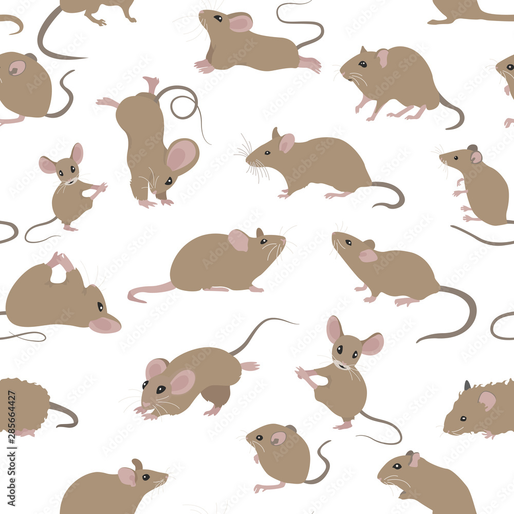 Mice seamless pattern. Mouse yoga poses and exercises. Cute cartoon ...