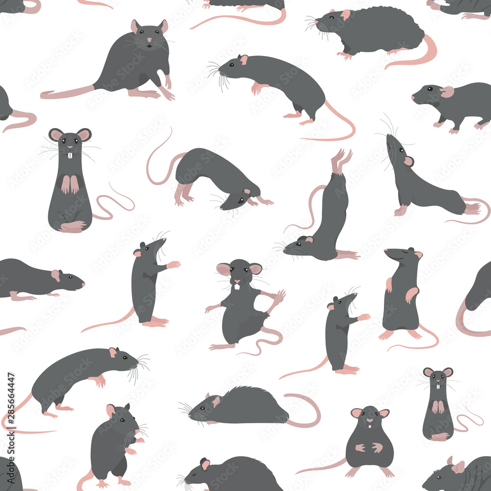 Rats seamless pattern. Rat poses and exercises. Cute cartoon clipart ...