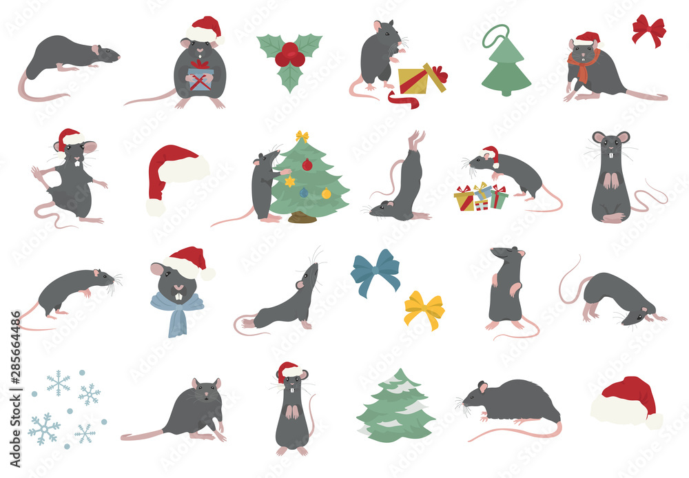 Different rats christmas collection. Rat poses and exercises. Cute ...