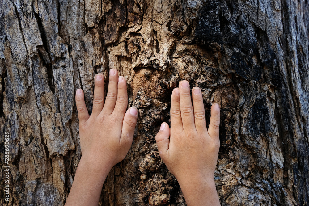 placed on the trunk of a big tree with fingers extended, symbolizing ...