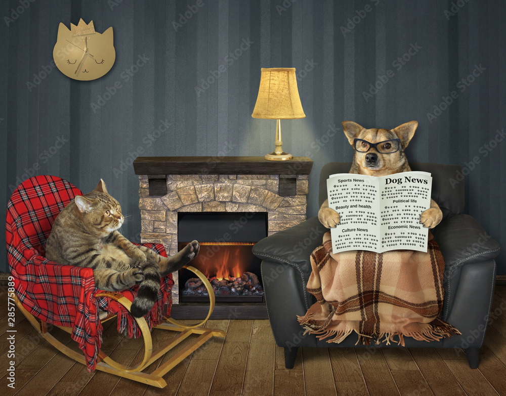 The cat in the wooden rocking chair and the dog with a newspaper in the ...