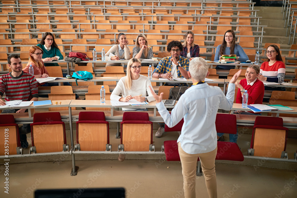 Professor Holding Lecture to a Multi Ethnic Group of Students. Young ...
