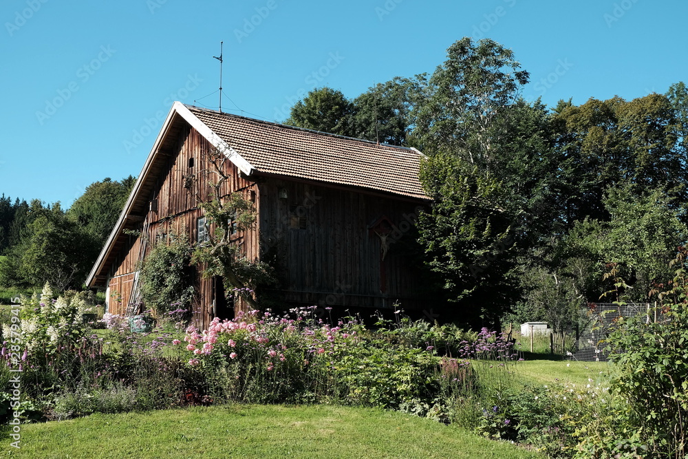 Bauerngarten mit schöner alter Scheune im Sommer bei blauem Himmel und ...