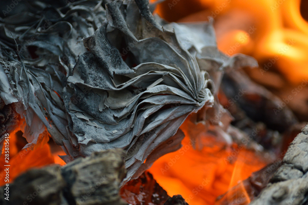 Book turned to ash with blurred fire and embers in the background Stock ...