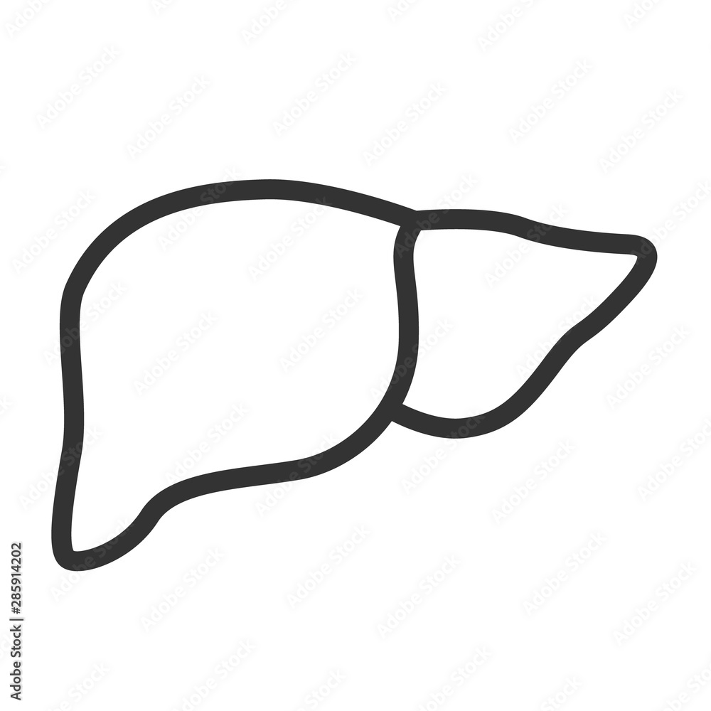 liver internal organ outline vector icon isolated on white background ...