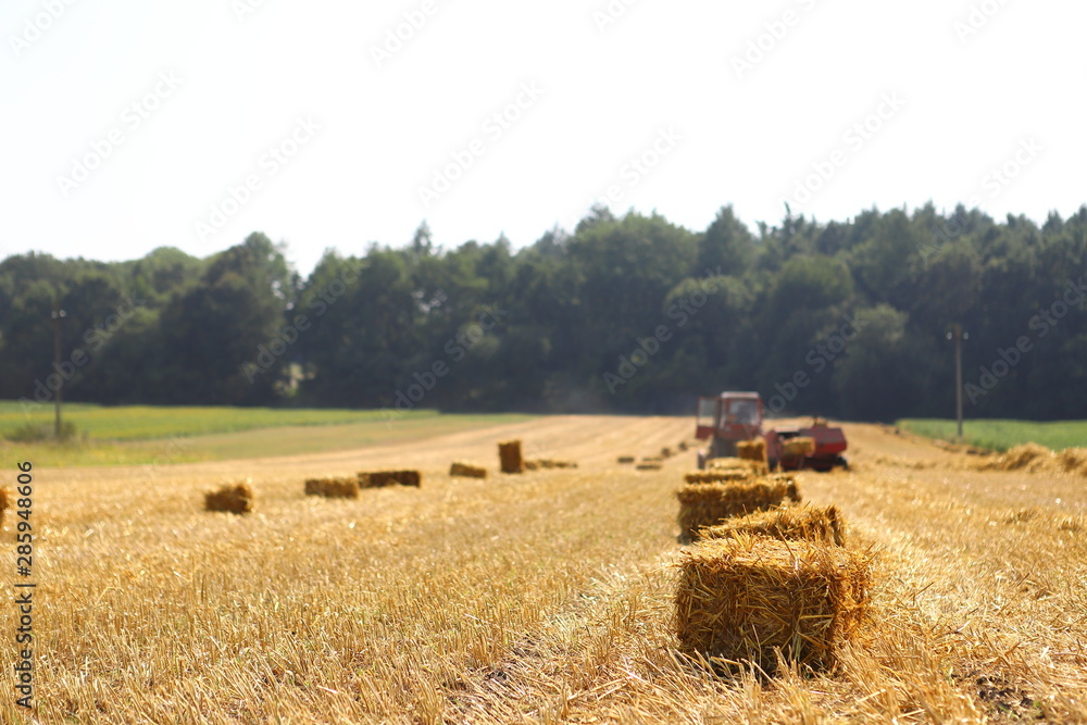 Straw bales on the field, bales of cubic rectangular bales after ...