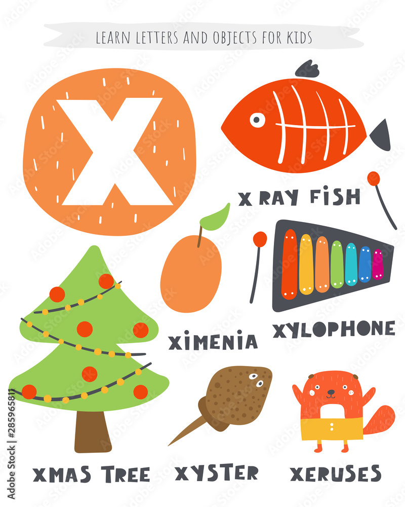 X letter objects and animals including Xmas tree, x ray fish, ximenia ...