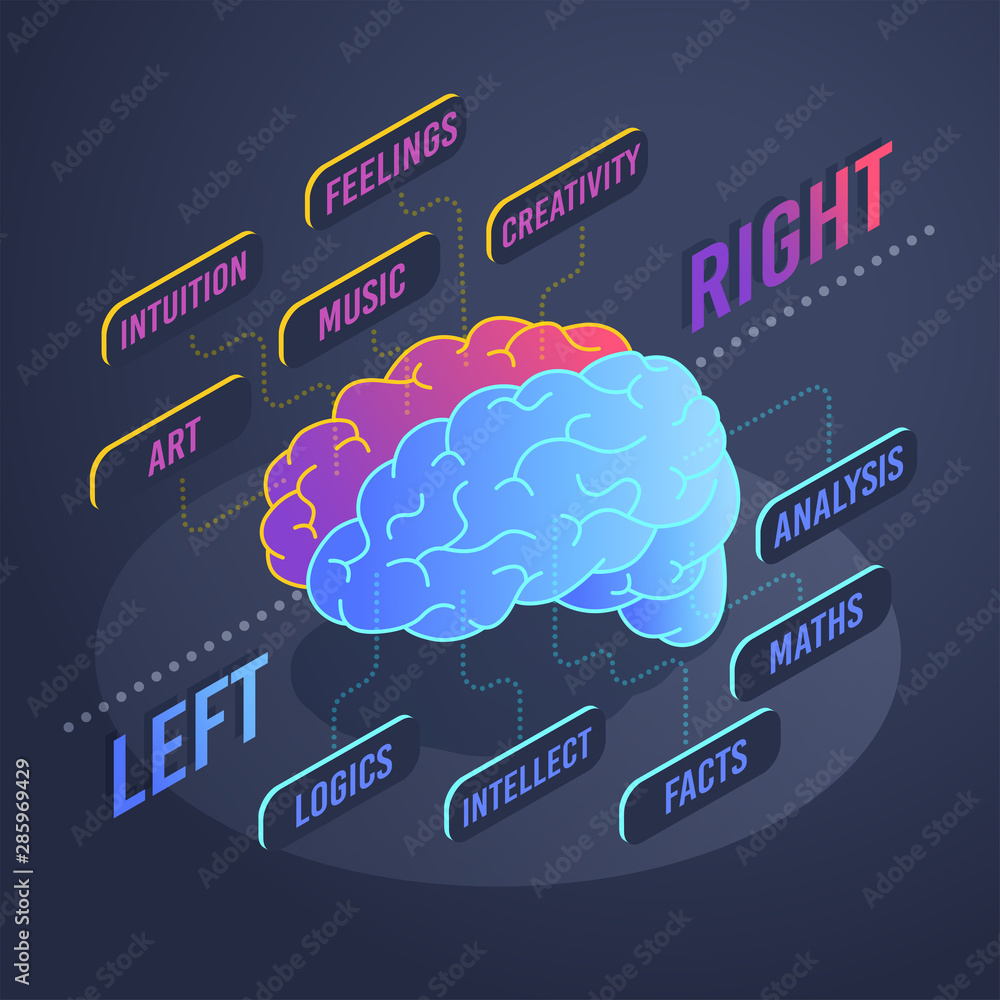 isometric vector image on a black background, the brain is divided into ...