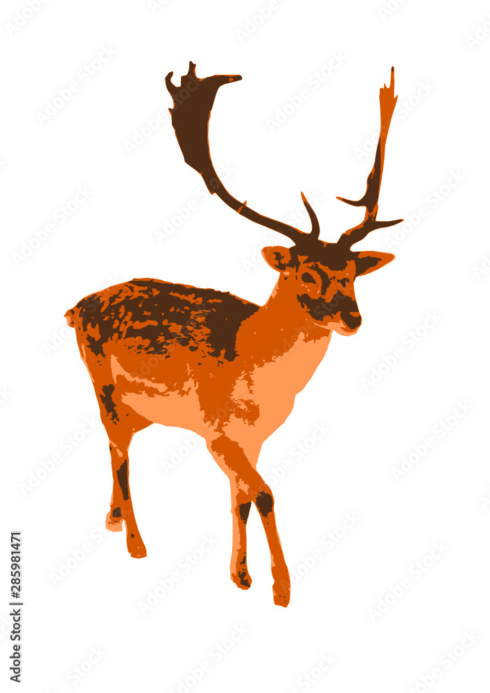 Hirsch Rehbock Geweih freigestellt Vektor Grafik Stock Vector | Adobe Stock