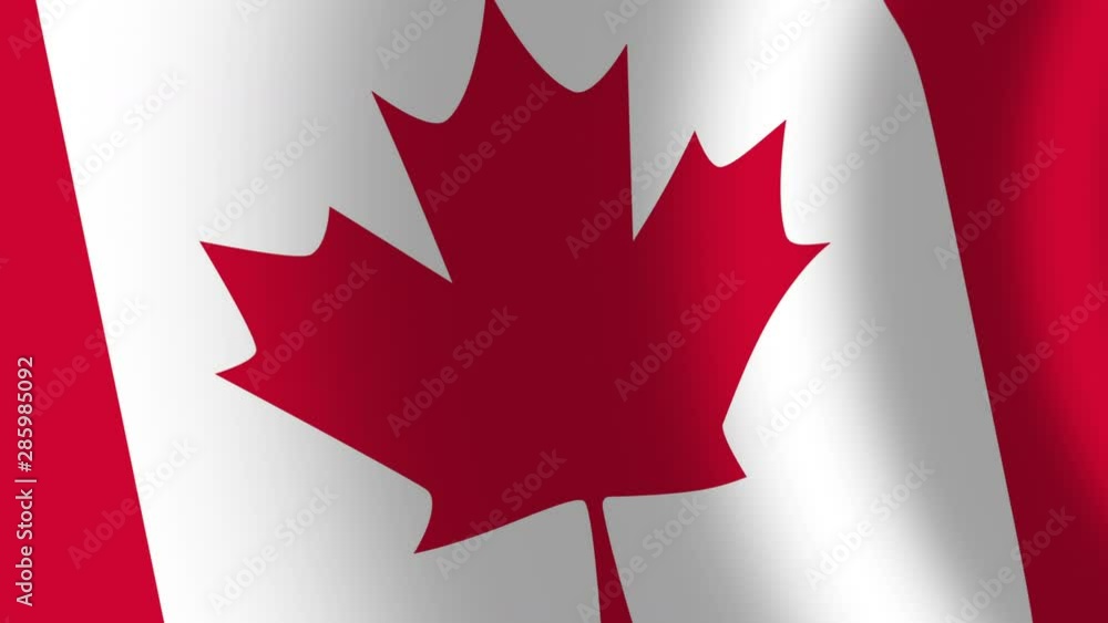 Canadian flag waving in the wind seamless loop background. Realistic ...