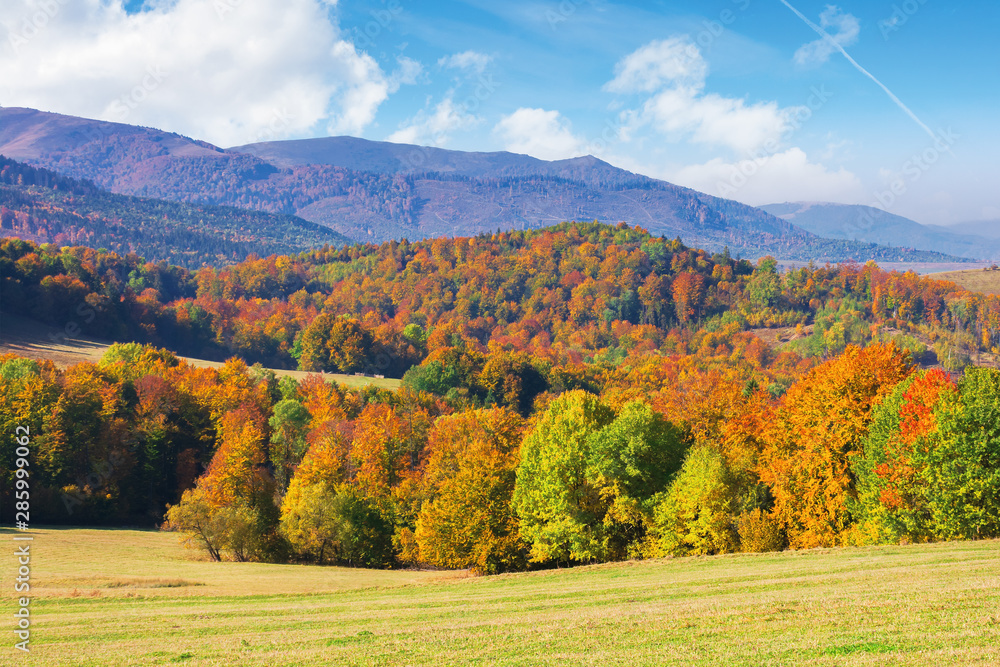 Fall Mountain Landscapes