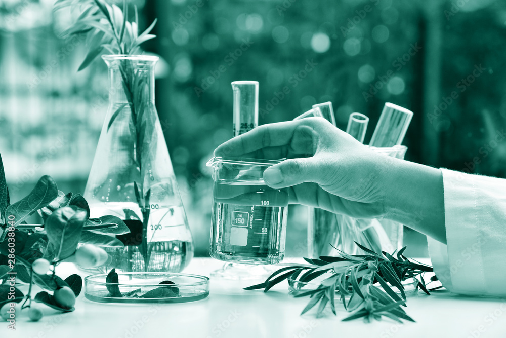 Medicinal herbal plant analysis, Natural organic botany drug research ...