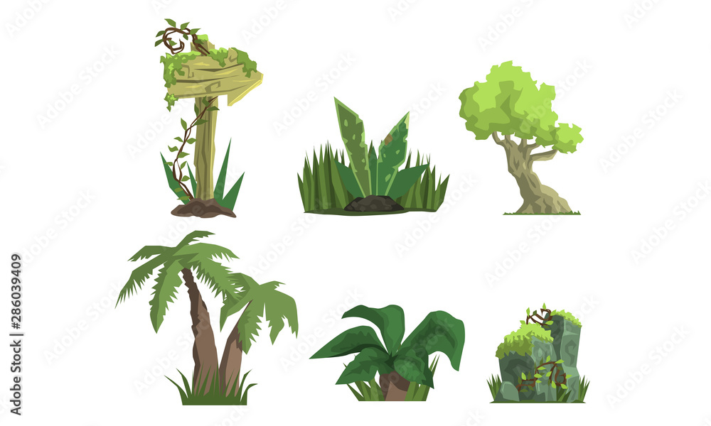 Tropical Rainforest Tree Drawing