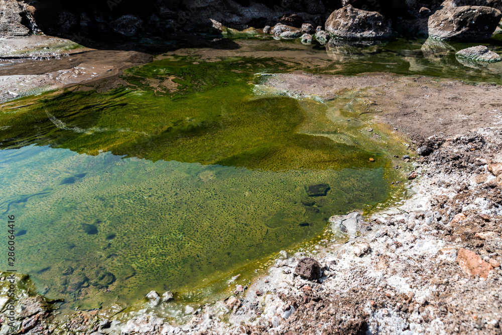 Hot spring sea water and small swamps near Lac Assal (Salt Lake) , 150m ...