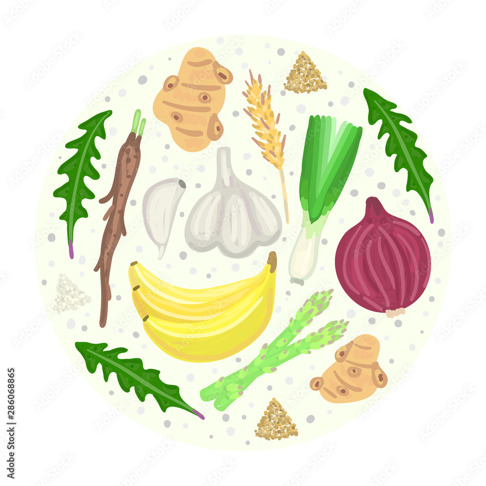 Prebiotic food. Nutrition. Nondigestible fibers. Gastrointestinal ...