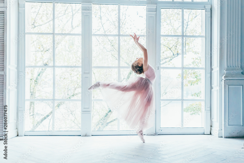 Young classical ballet dancer girl in dance class. Beautiful graceful ...