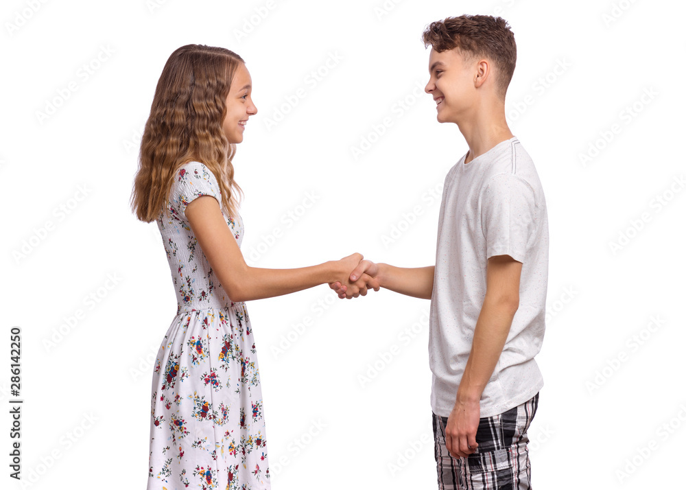 Portrait of happy teen boy and girl handshaking. Brother And sister ...