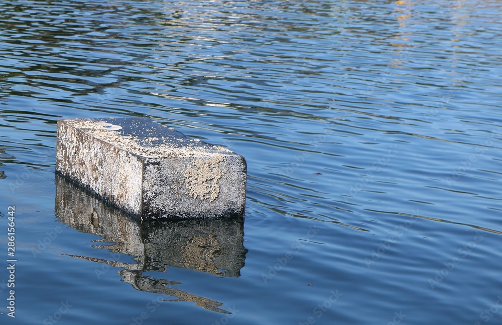 Mysterious rectangular box covered in barnacles floating in the vibrant ...