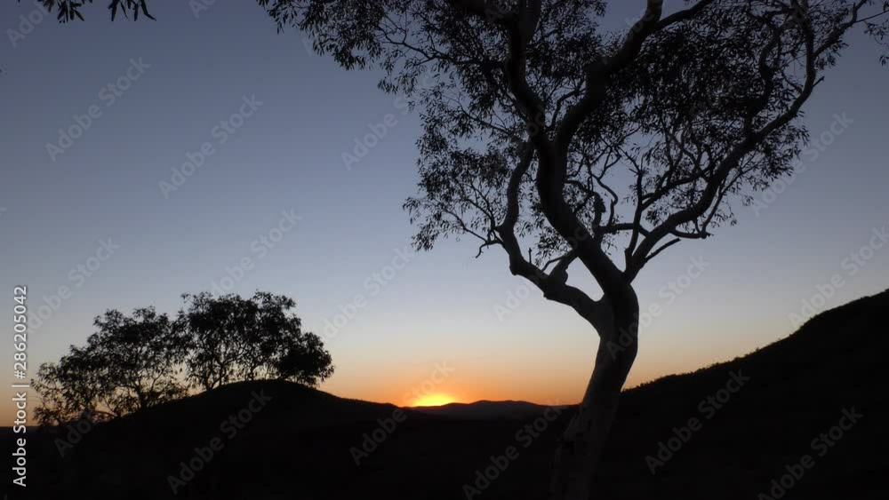 Panoramic view of sunset in outback Australia, with gum trees, bushland ...