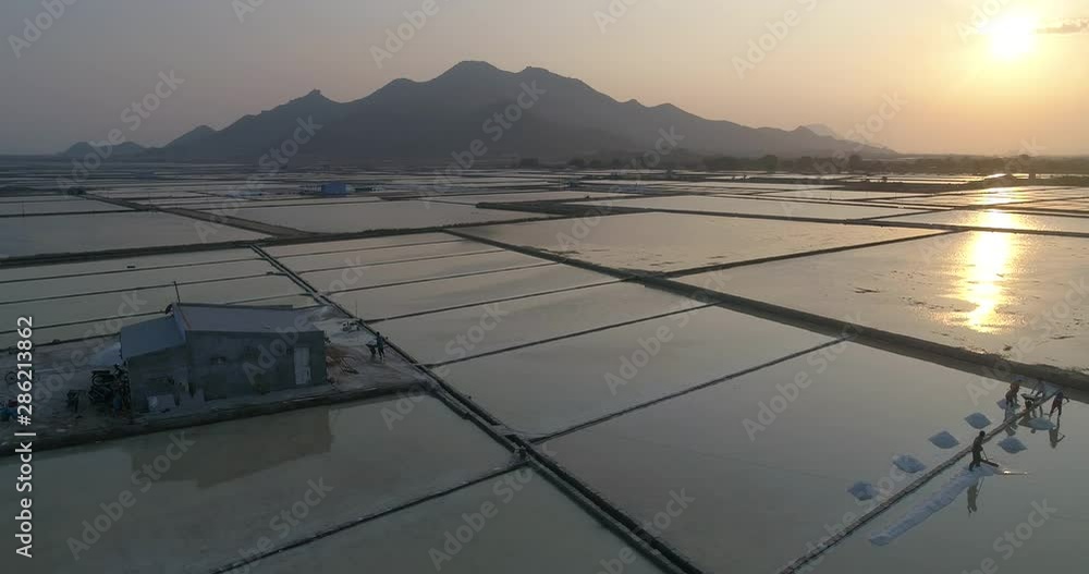 People working on the salt field. The raw white salt field on a sunny ...