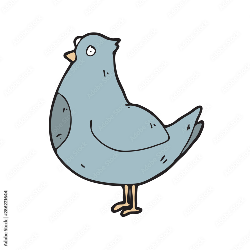 digitally drawn illustration pigeon design. hand drawing style Stock ...