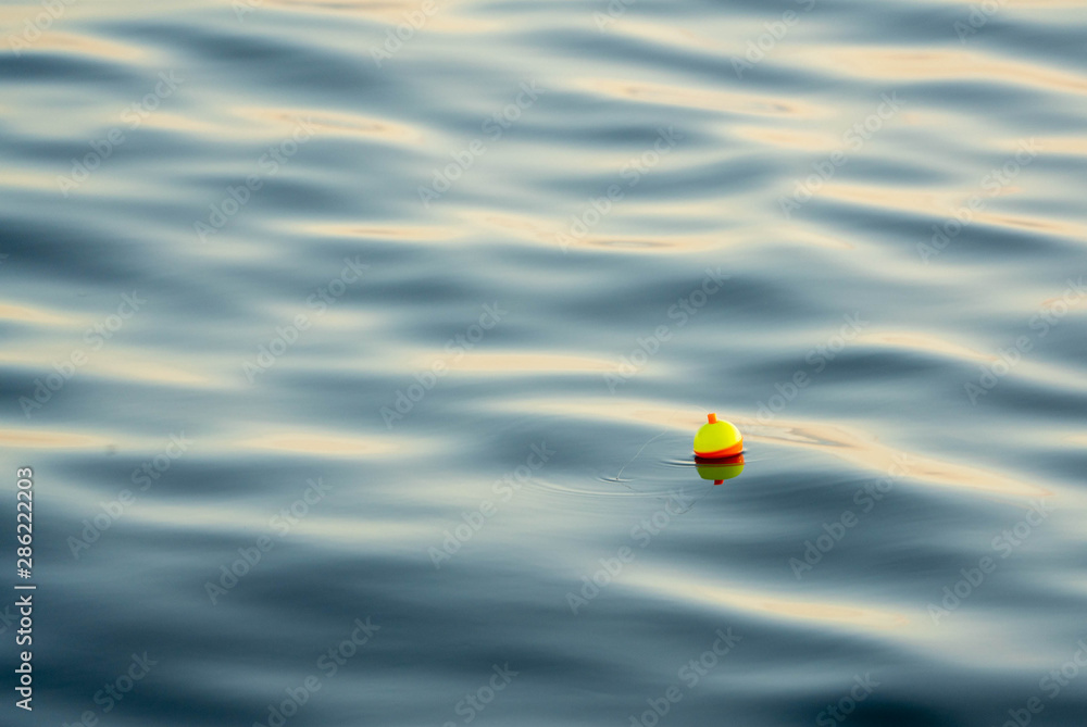 Fishing bobber on the water Stock Photo | Adobe Stock