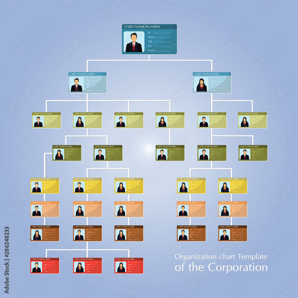 Blank Organization Chart Template