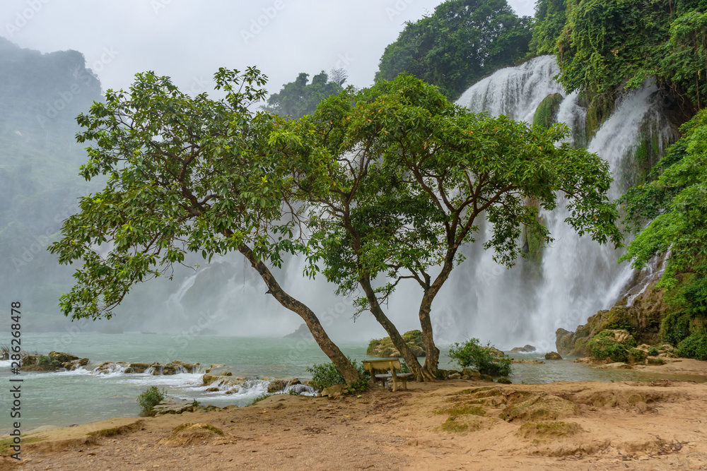 Ban Gioc or Detain waterfall flow down fluted is famous place travel ...