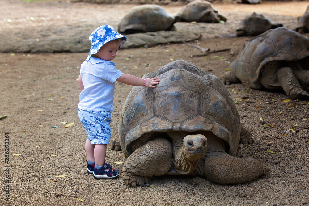 Happy family, children and parents, feeding giant tortoises in a exotic ...