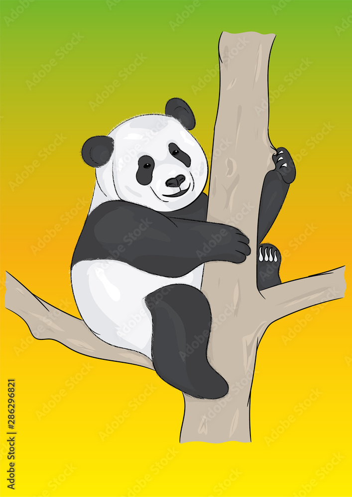 panda, cartoon, komiks, rysunkowy, sketch panda,wild nature, wild life ...