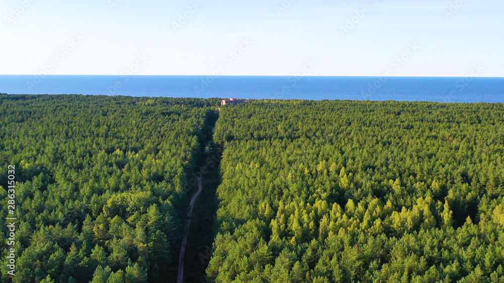Tower of power lines in the forest. Electric tower line in Landscape ...