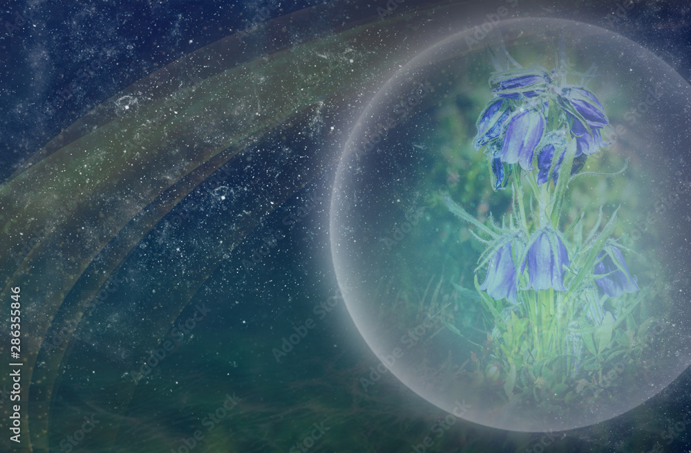 alien plants. blue extraterrestrial flowers of a cosmic plant Nature ...