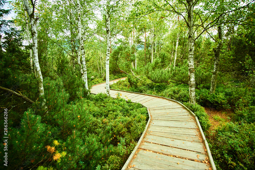 Chalupska moor represents a transitional type of moor between the ...