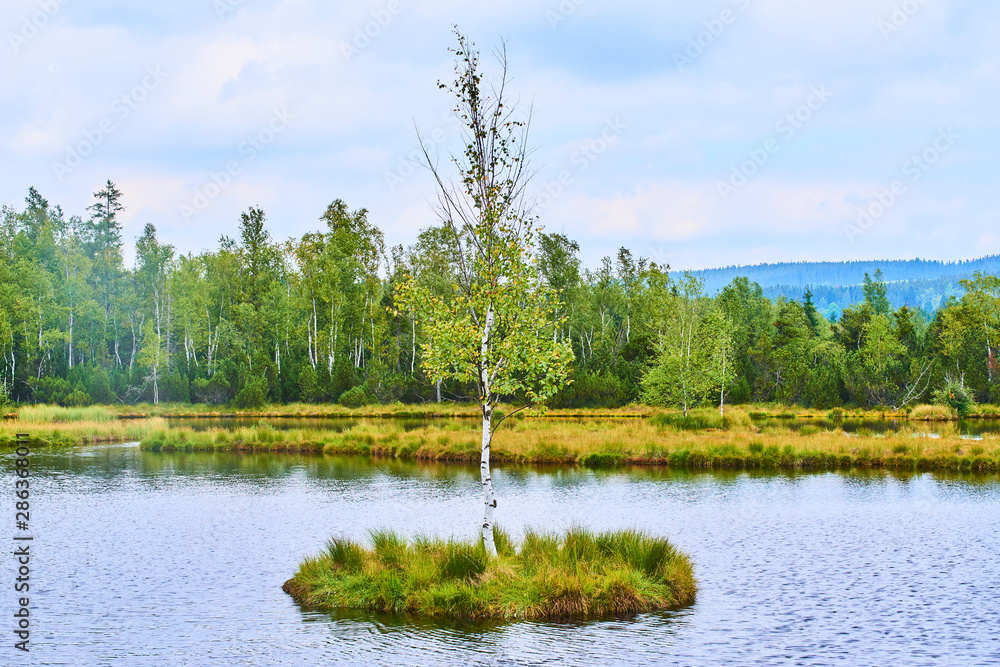 Chalupska moor represents a transitional type of moor between the ...