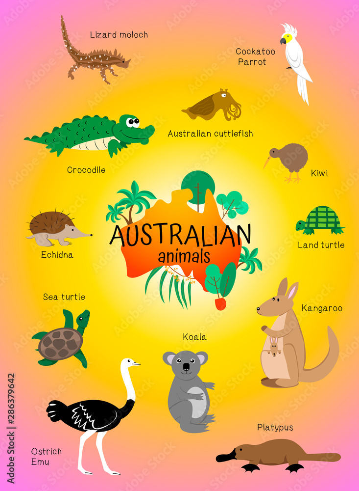 Australia animals, poster for children, educational card. Platypus ...