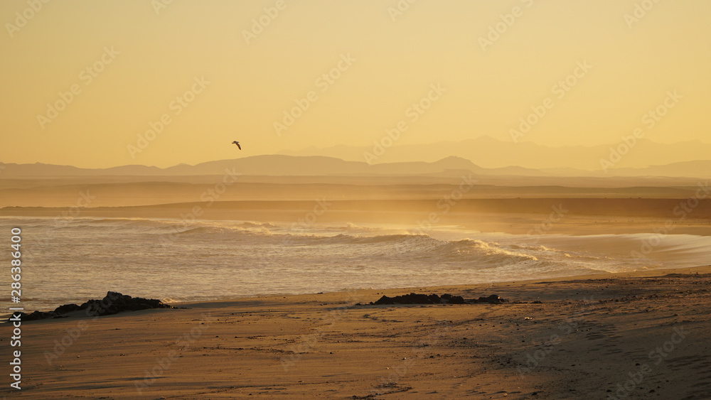 Sunset at the beach on the Skeleton Coast in the Namib Desert, Namibia ...